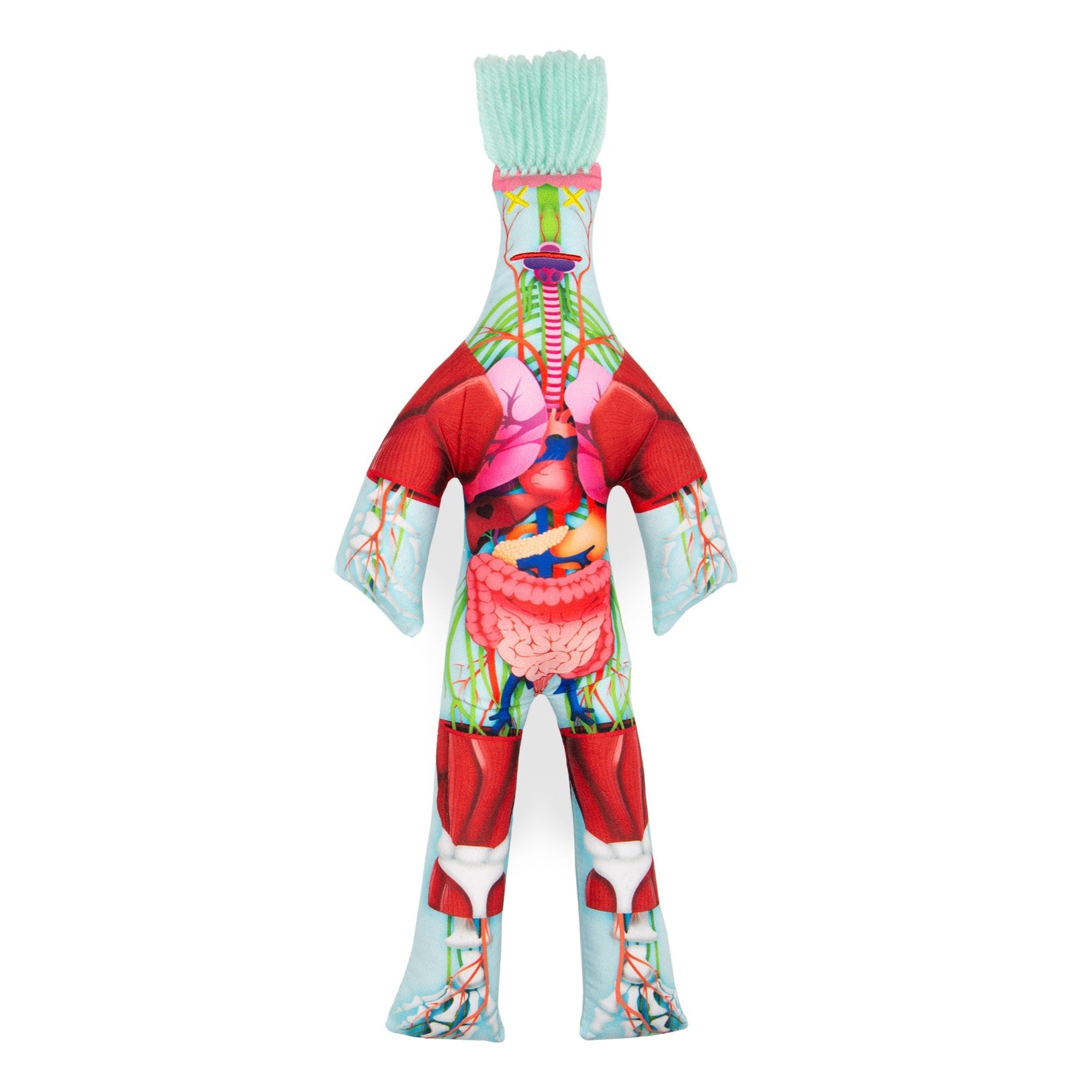 The Anatomy Doll – Cutebabybuy